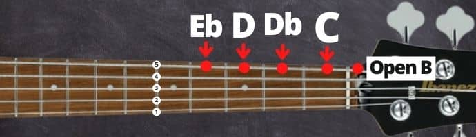 4 String Vs 5 String Bass Differences Explained Tone Topics 
